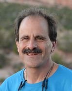 Sustained impact of primary platinum-free interval and BRCA1/2 mutation ...