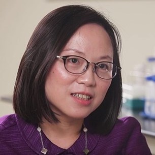 Sustained Gas6/AXL signaling network in the mes subtype of ovarian ...